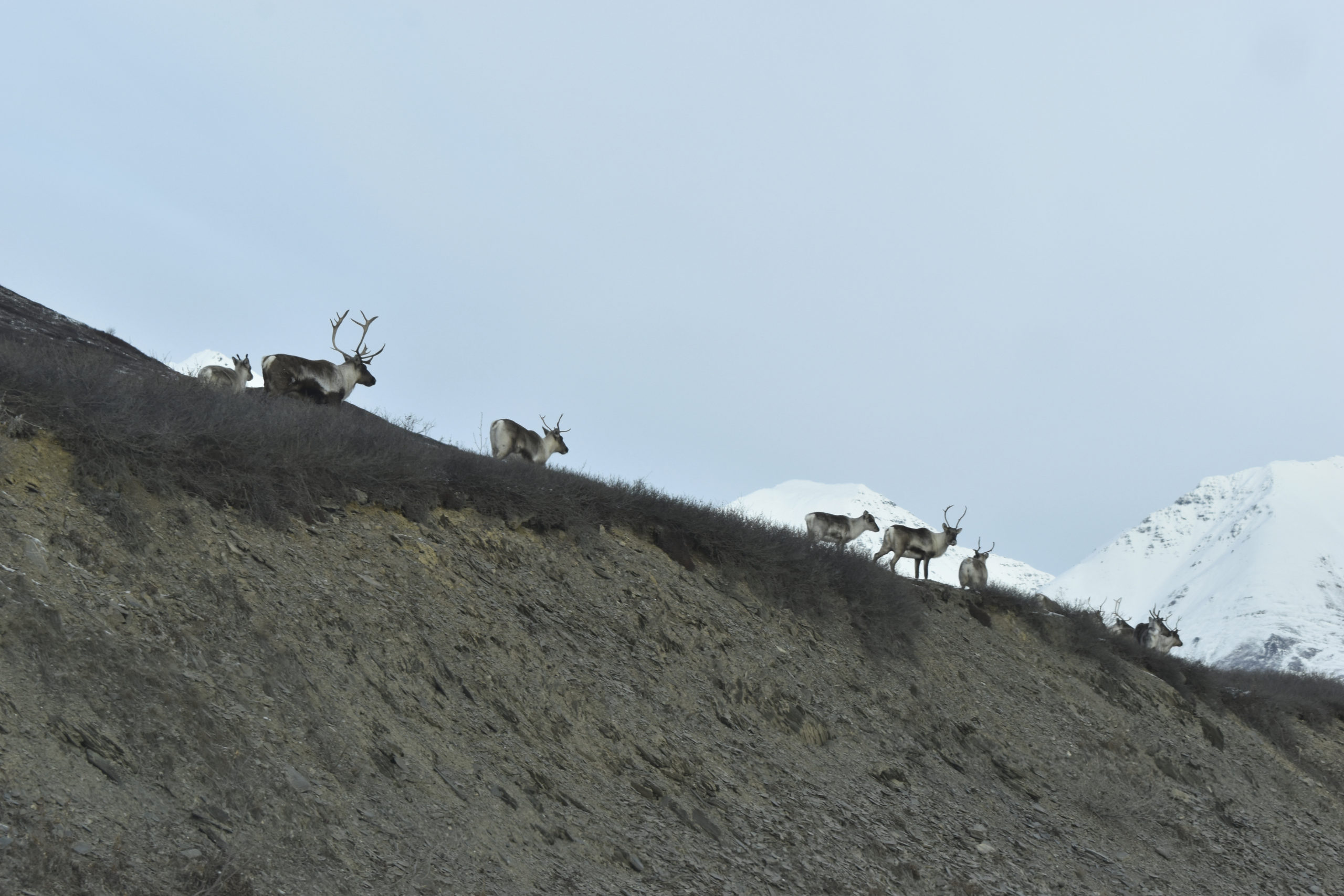 Tentstake Ministries