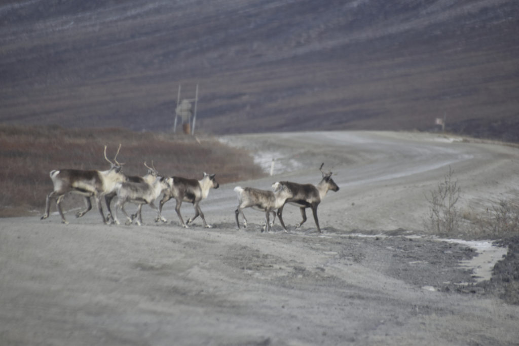 Tentstake Ministries